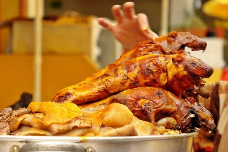 Do not Leave Peru without Trying This Exotic Food: Cuy (guinea pig ...