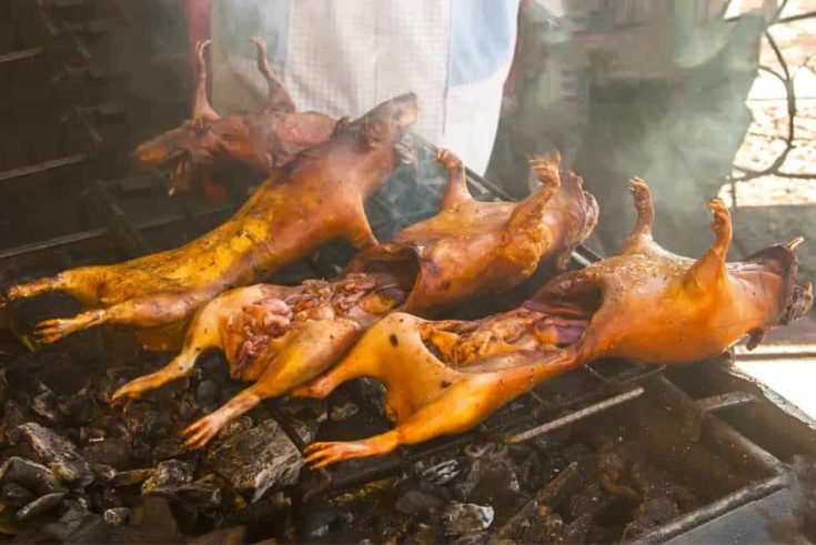 Do not Leave Peru without Trying This Exotic Food: Cuy (guinea pig ...