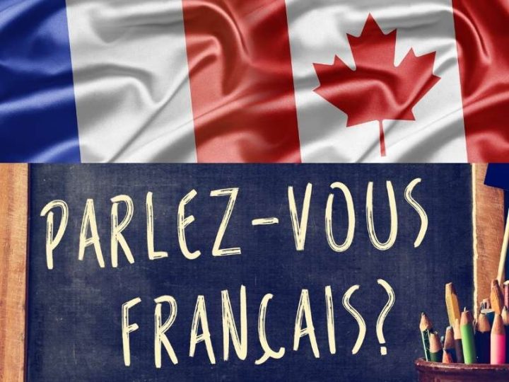 Summer in Montreal: 16 Must-Do Things That Will Make Your Trip ...